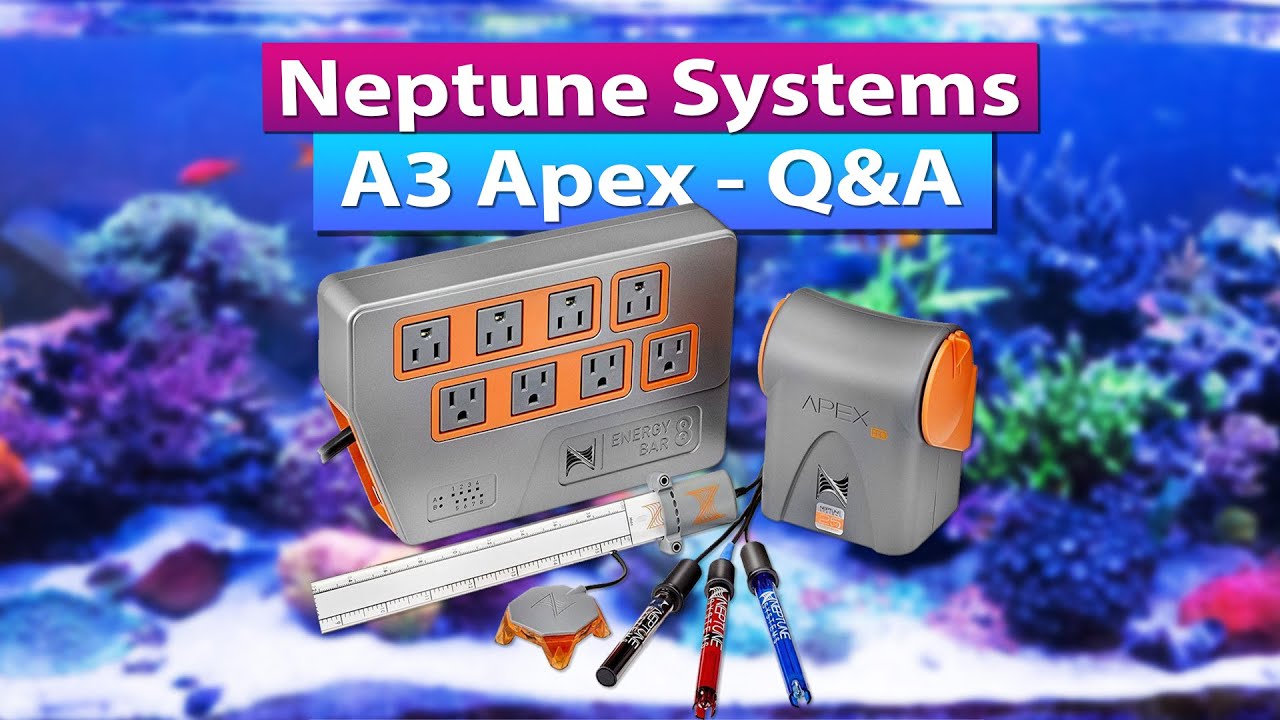 Neptune Systems A3 Apex Q&A with Paul! - YouTube