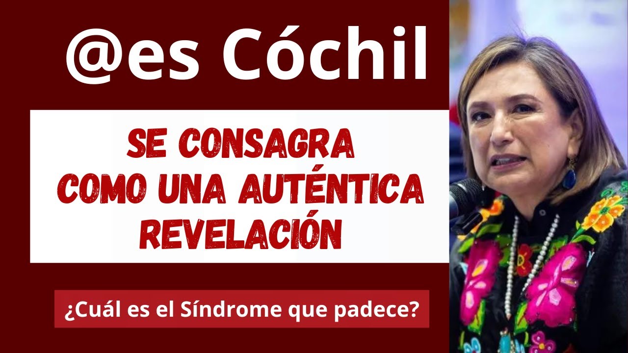 TÚ PIDE Y CÓCHIL TE LO CONCEDE A CAMBIO DE TU CREDENCIAL DE ELECTOR ...