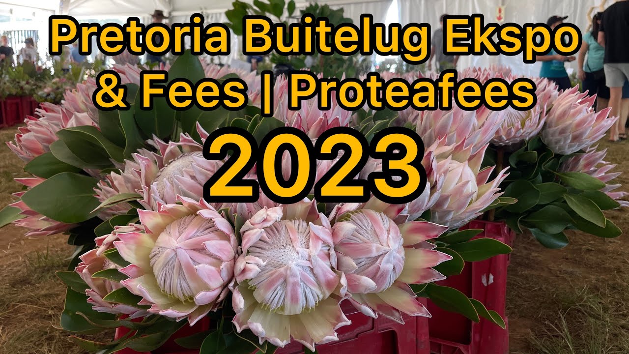 Pretoria Buitelug Ekspo & Fees | Proteafees 2023 - YouTube