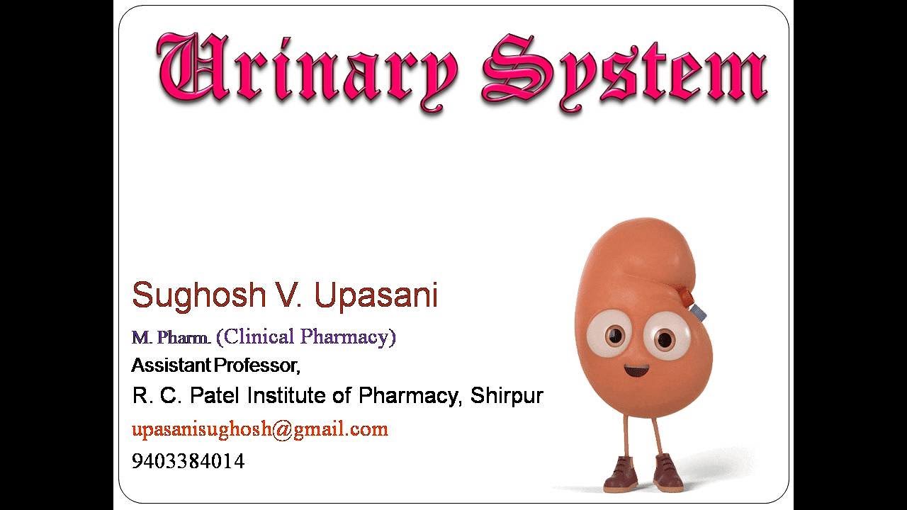Urinary System HAP by Sughosh - YouTube