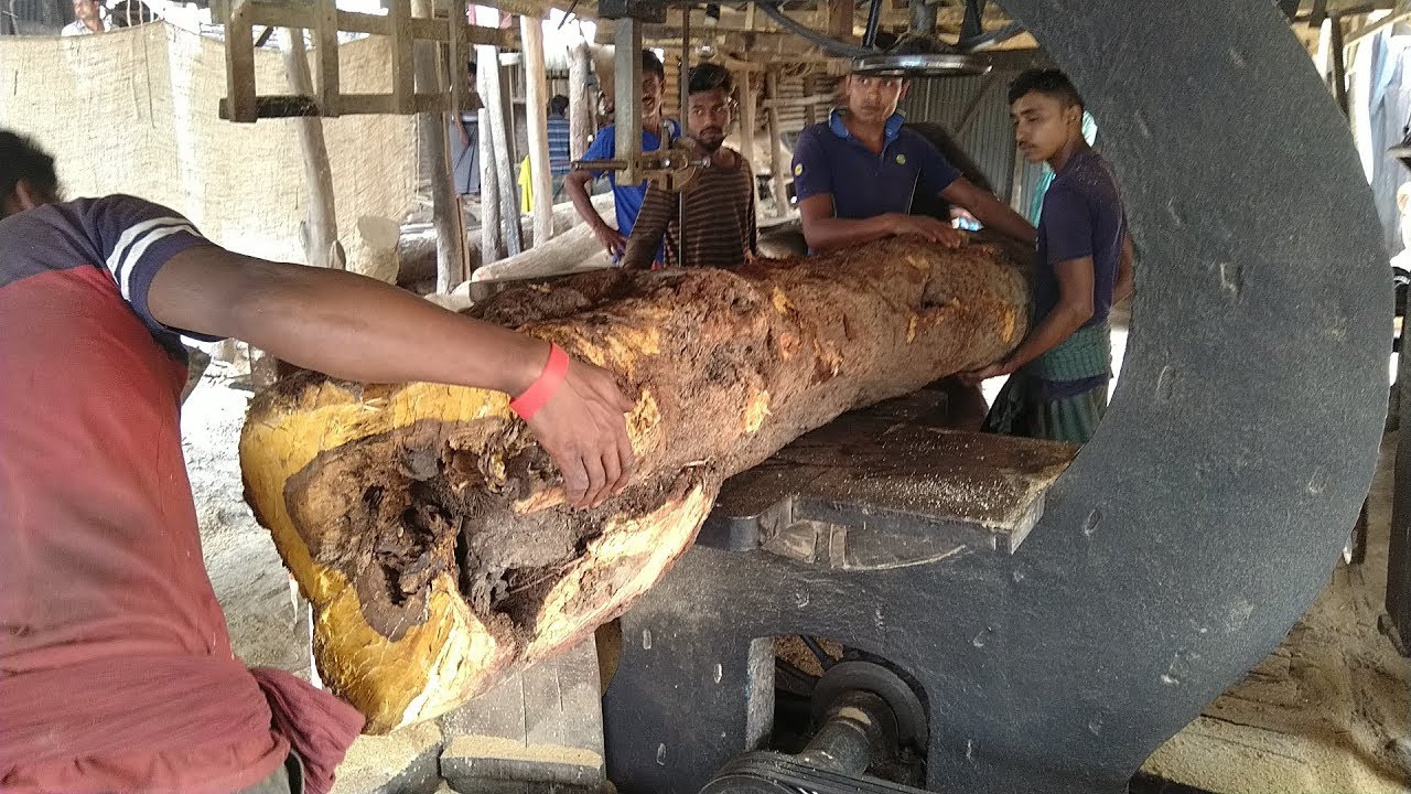 Extreme Wood Cutting Sawmill।Dangerous Sawmill in Asia।Wood Cutting ...