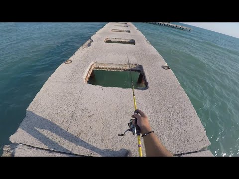 İskeleden Balık Avı... Uzakta arama balık ayağının altında... Kısa ve aydınlatıcı video...