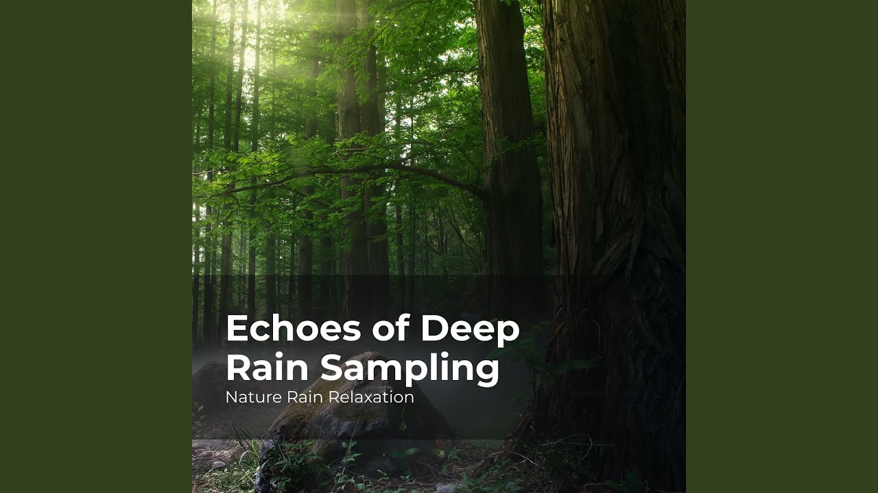 Trees Rain Showers - YouTube