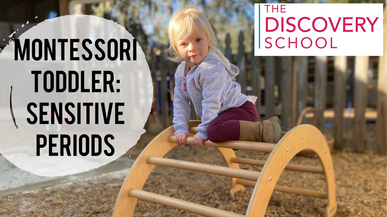 Montessori Toddler: Sensitive Periods - YouTube