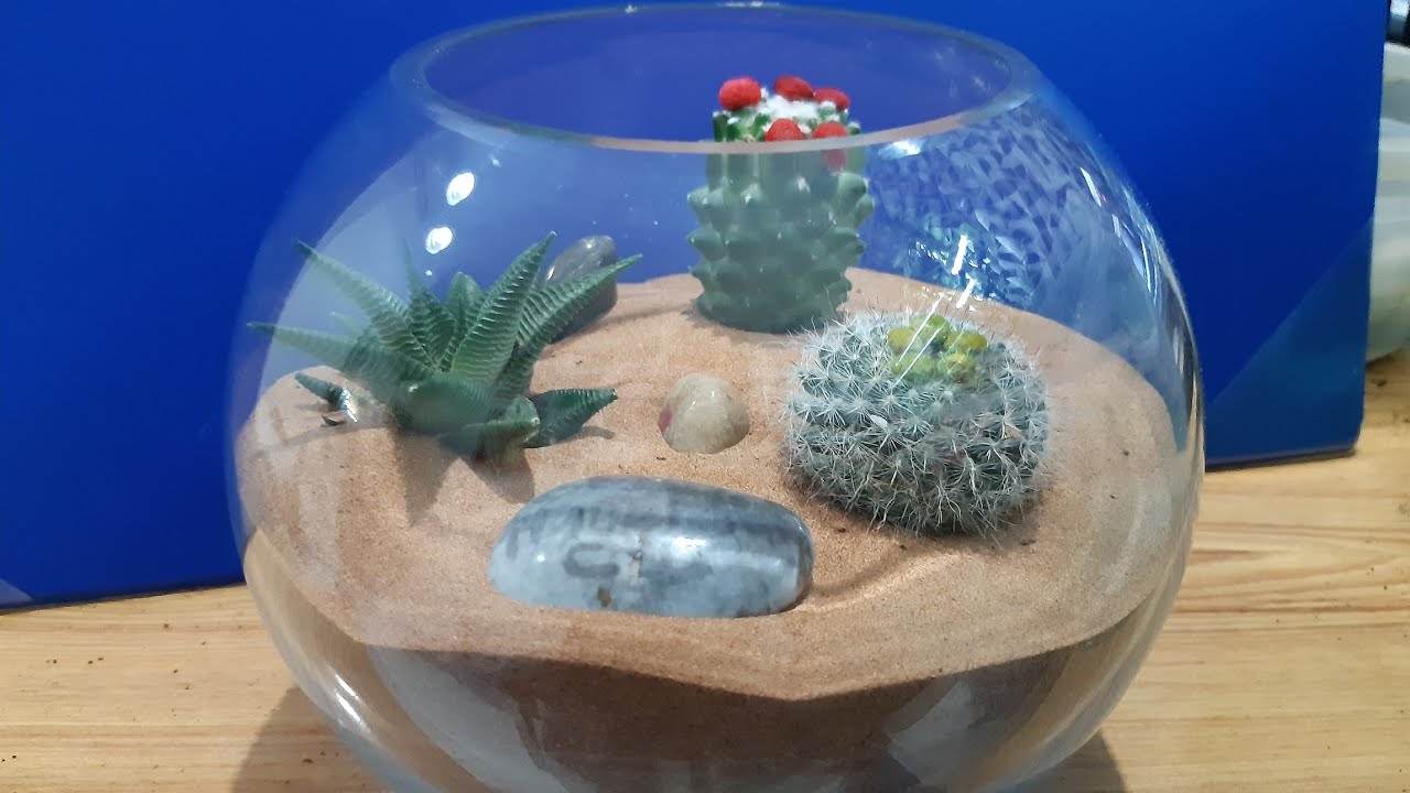 DIY MY SIMPLE AND EASY DESERT CACTUS TERRARIUM - YouTube