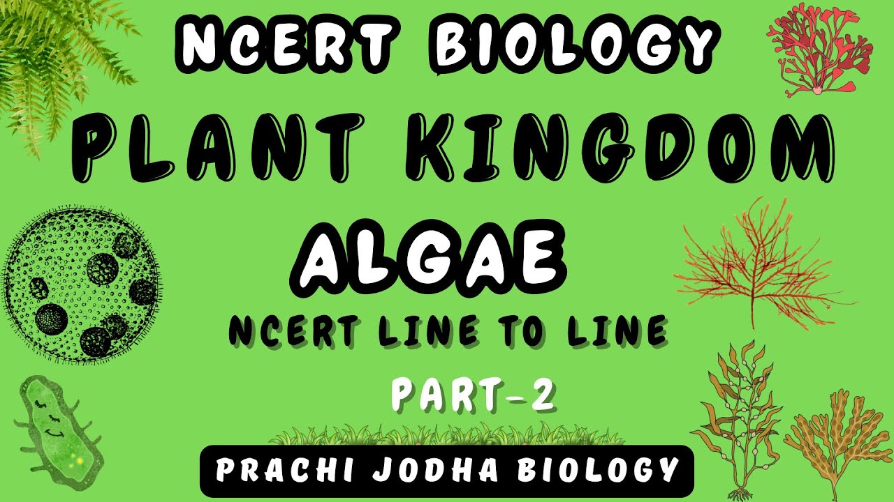 ALGAE 🍃 | PLANT KINGDOM |NCERT LINE TO LINE #neet2024 #neet # ...