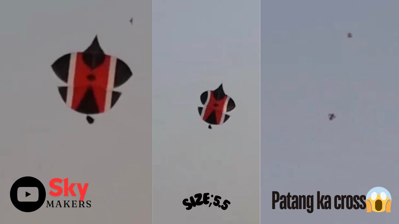 || Morning patang game.kite cutting short video.flying kite activity ...