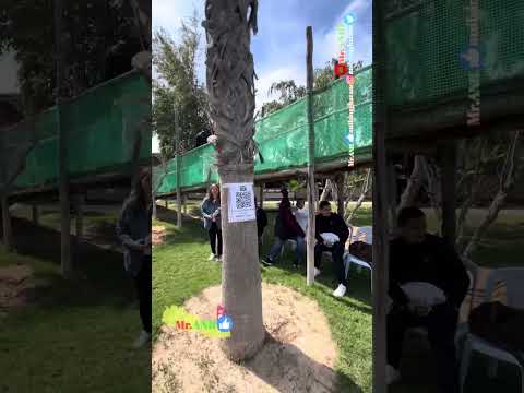 GSS certis 10 years complete anniversary celebration at Al-khor - YouTube