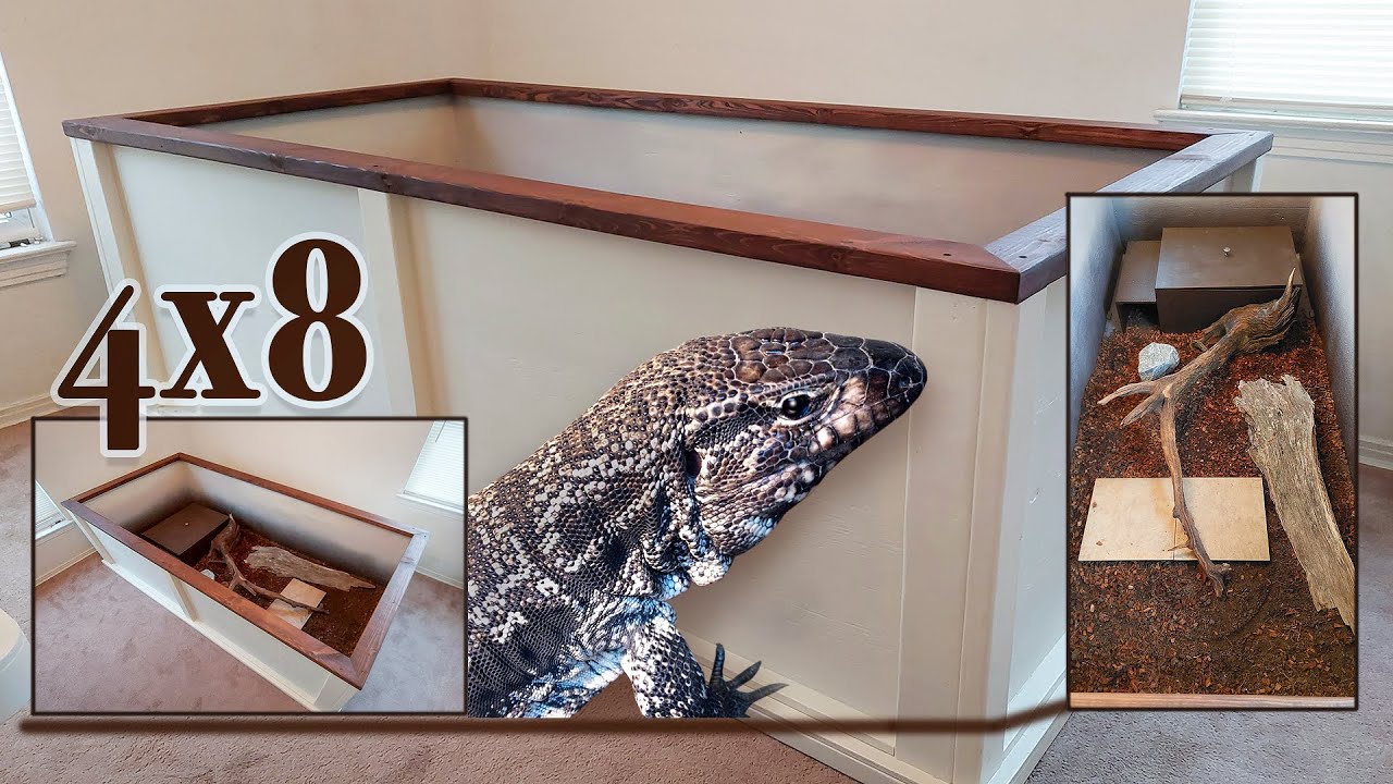 Tegu Lizard pen/cage build #4 video...It's now inside/a big move - YouTube