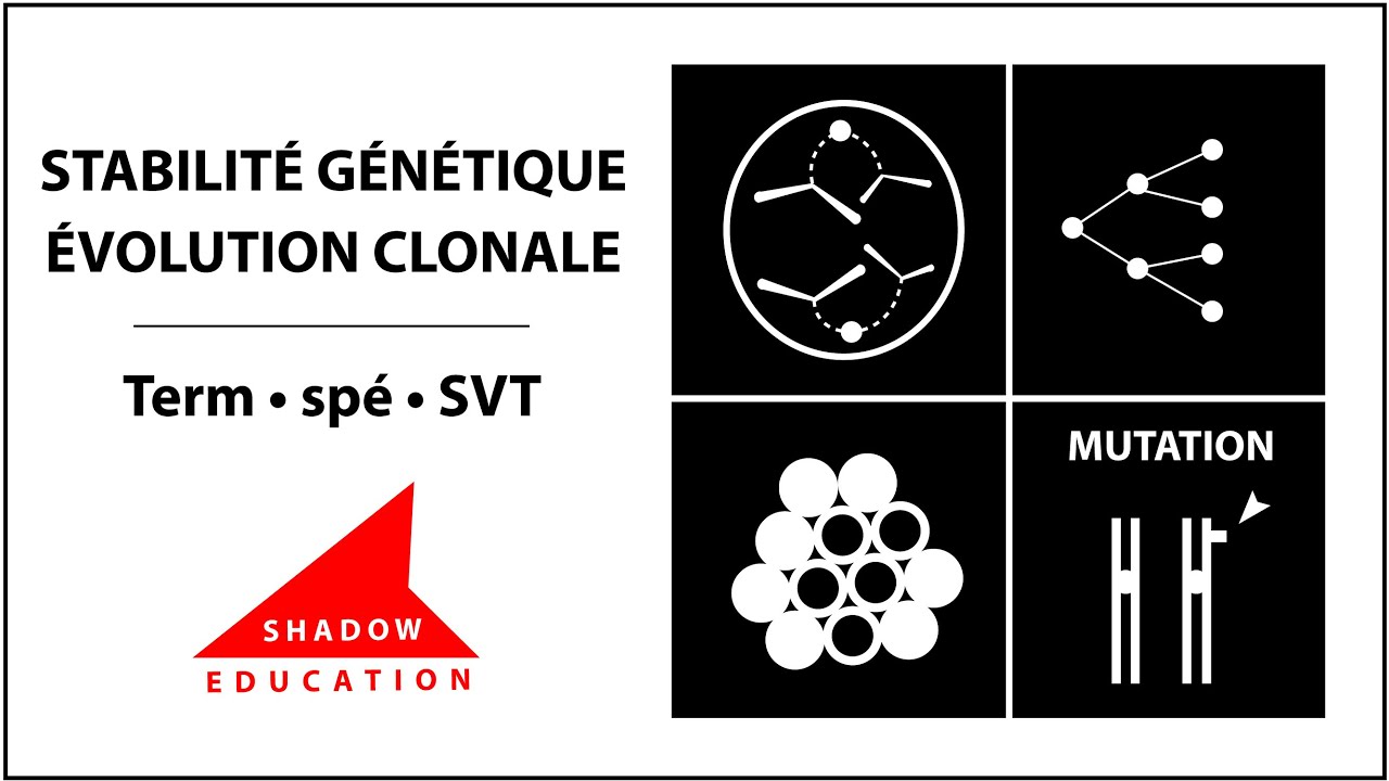 Stabilité génétique et évolution clonale - Term spé SVT - YouTube