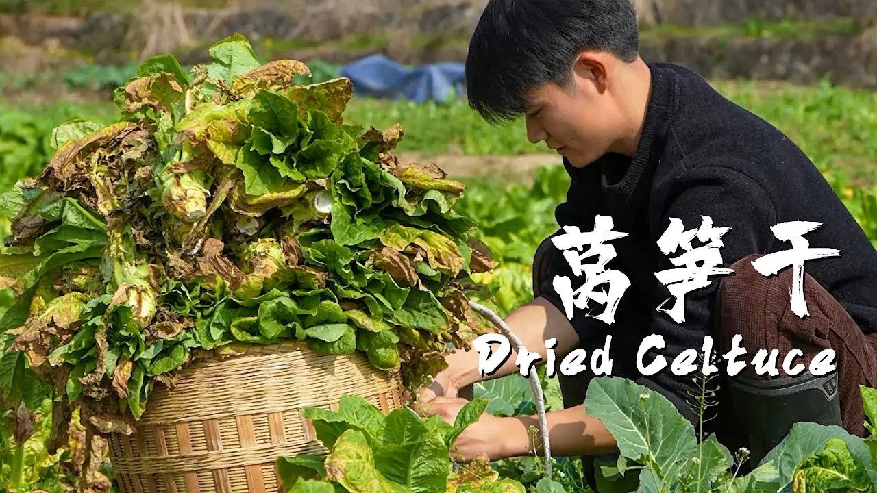 莴笋吃不完了，我做了些「莴笋干」存放着，平时拿来炒着也很好吃 | Dried Celtuce【念乡人周周 Zhou Zhou】 - YouTube
