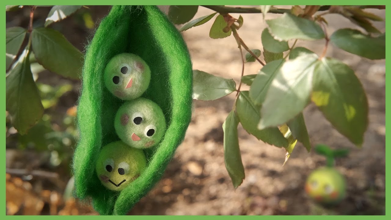 지구특콩대 Earth Rangers - YouTube