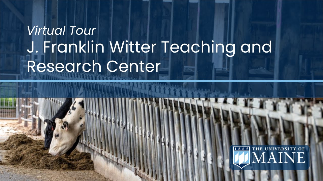 Learn about livestock at the J. Franklin Witter Teaching and Research ...