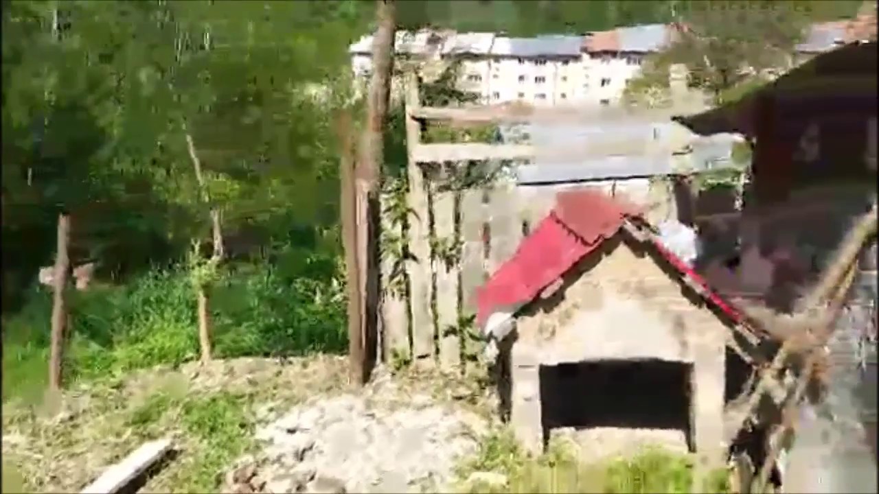 Alex Sirbu - YouTube