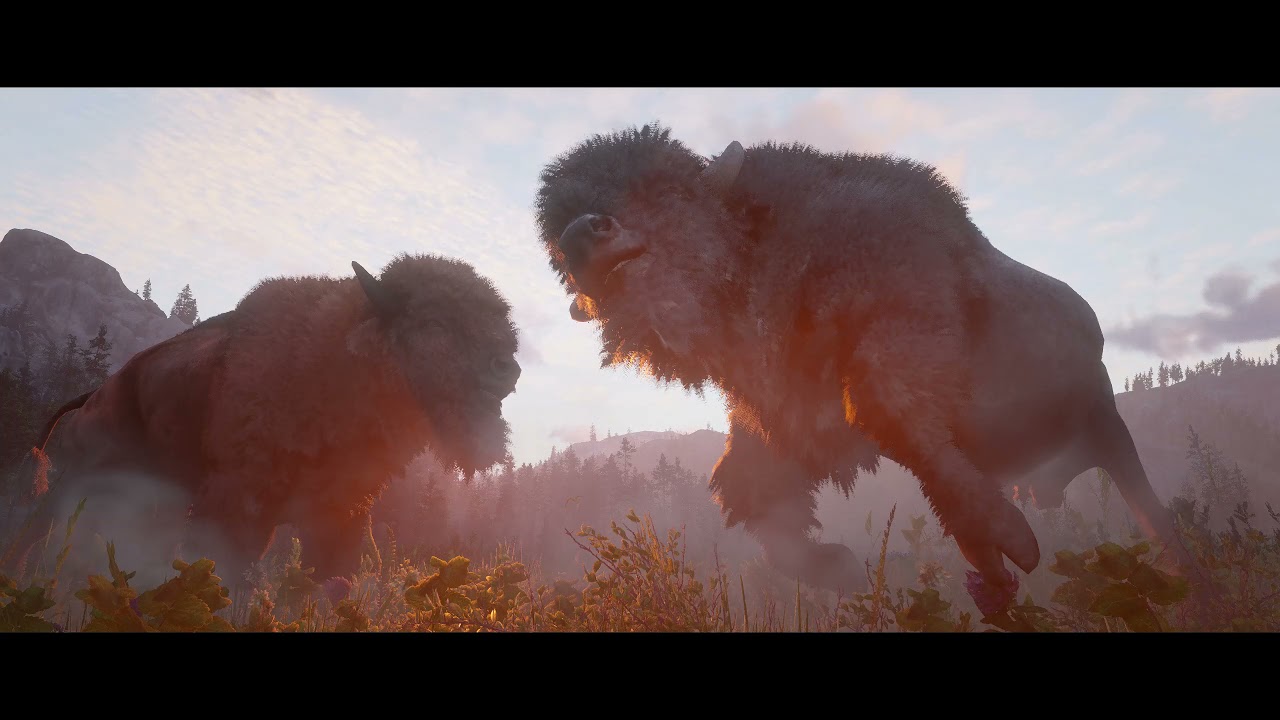 RDO Bisonte Payta cinematica - YouTube