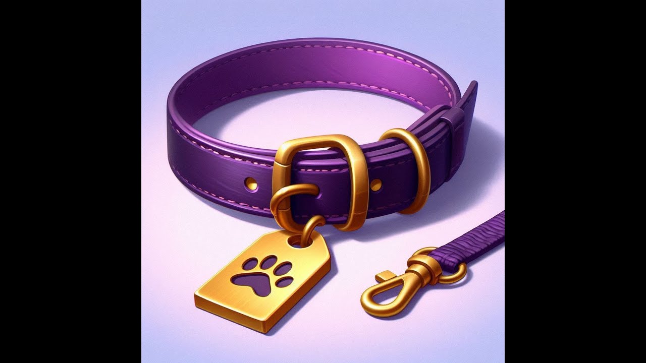 Advanced Pet Training - YouTube