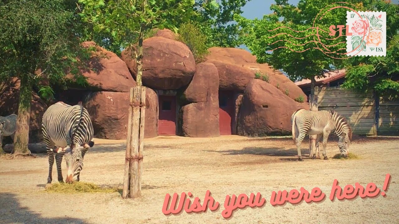 St Louis Zoo + Roadtrip Shenanigans! (Unseen 2022 Vlog Footage) - YouTube