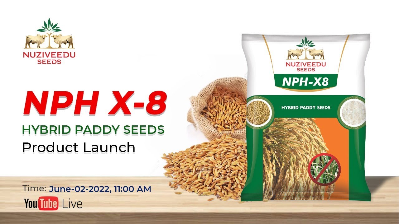 NPH - X8 Hybrid paddy seeds Product Launch - YouTube