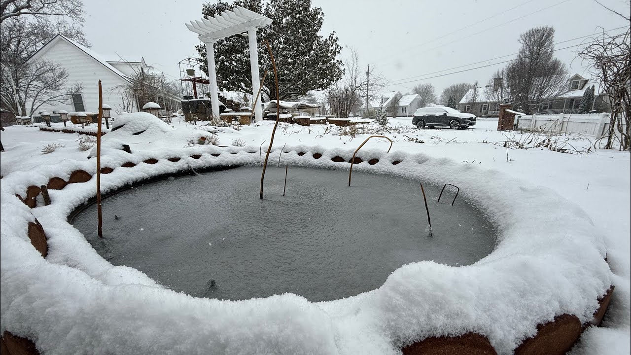 1235 First Snowfall in Murfreesboro Tennessee USA January 12, 2025 ...