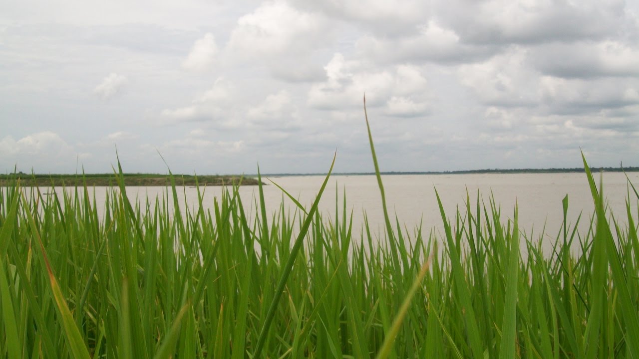 Beautiful Bangladesh River Full HD - YouTube