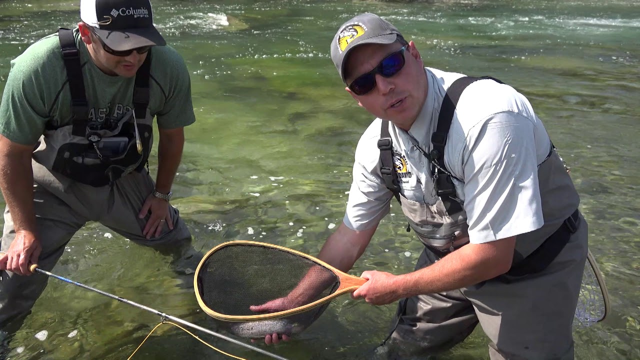 Blue Bronna Season 3 - YouTube