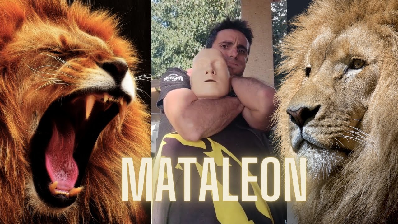 Peligros del MATALEON - YouTube