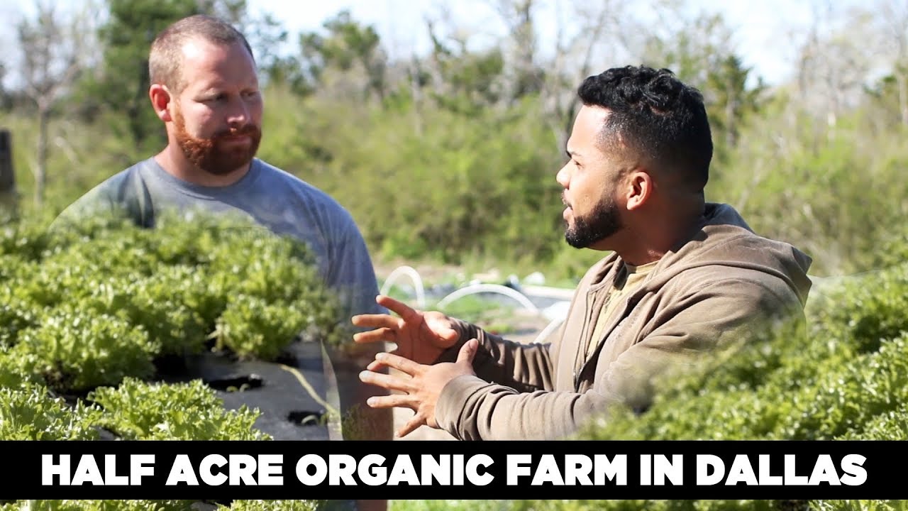 Half Acre Organic Farm in Dallas | Shoulder workout at Destination ...
