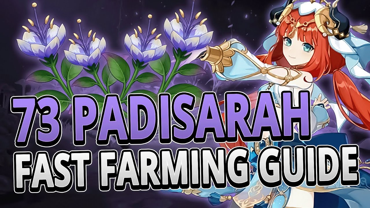 Padisarah 73 Locations FAST FARMING ROUTE +TIMESTAMPS | Genshin Impact ...