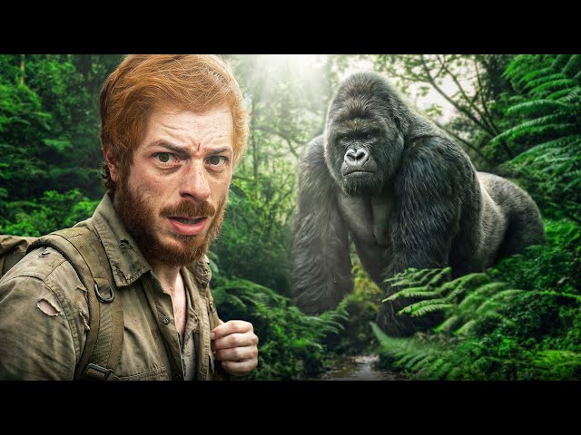 Le Singe Le Plus Gros Du Monde