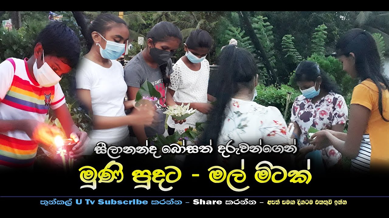 වෙසක්, මල් දන්සල / Vesak, Mal Dansala - Thunkal U Tv - YouTube