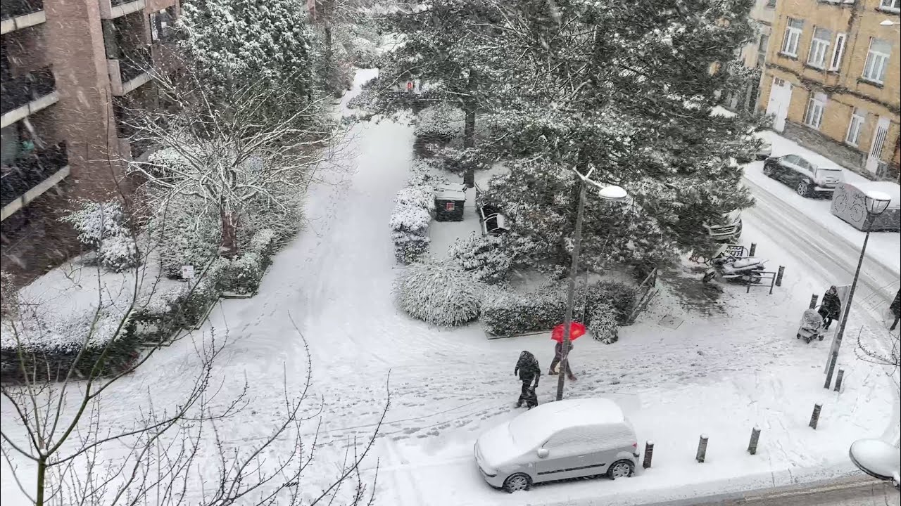 First Heavy Snow fall 2024 ️ in Brussels Belgium. #brussels #world # ...