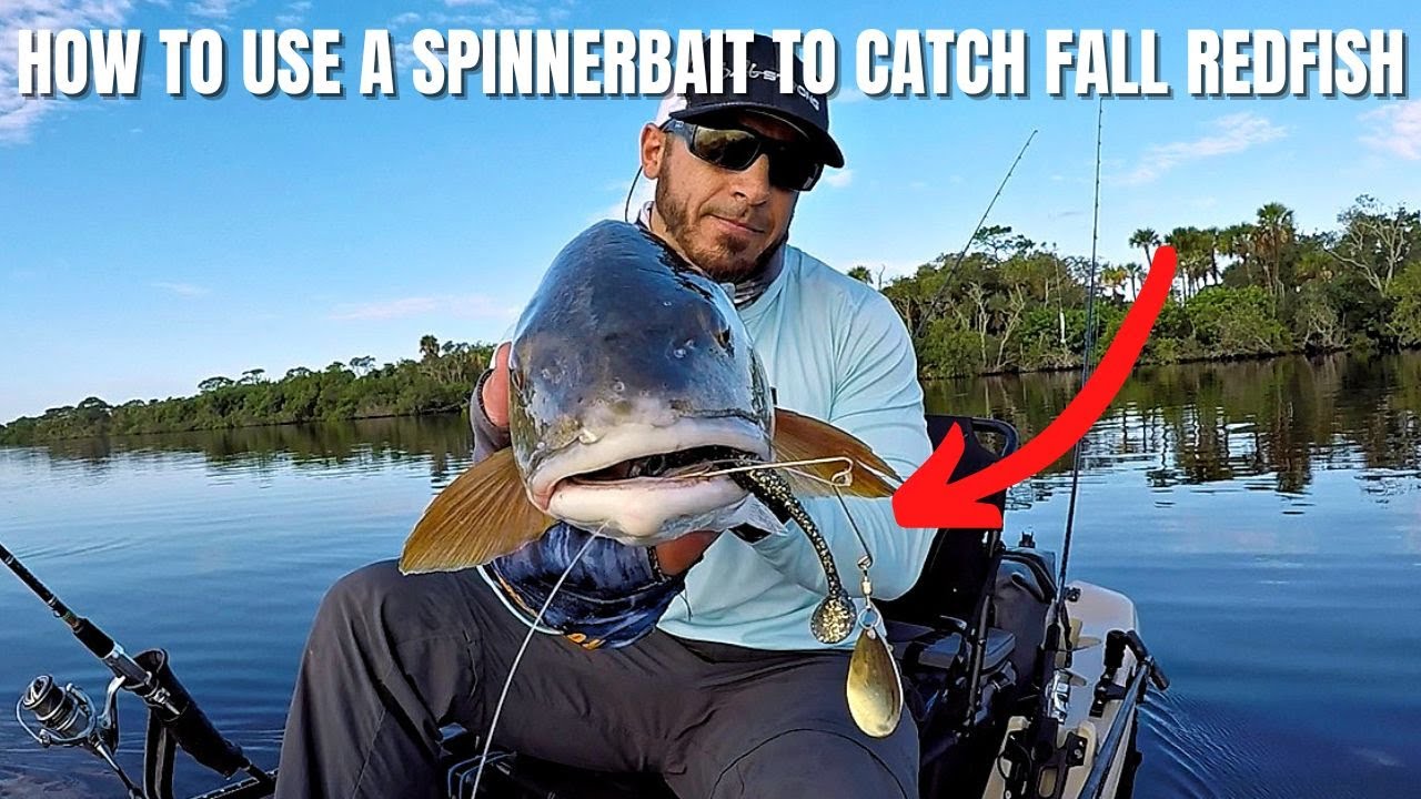 How To Use Spinnerbaits To Catch Fall Redfish [Strike King Redfish Magic] - YouTube