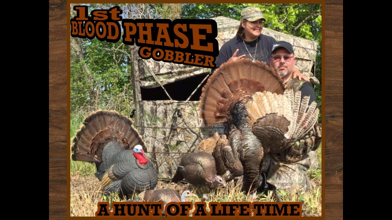 2016 turkey hunt, RARE ( BLOOD PHASE ) Pic at the end of the Video . My ...