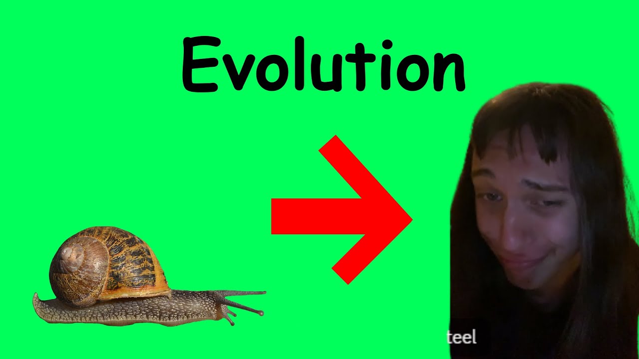 Evolution - YouTube