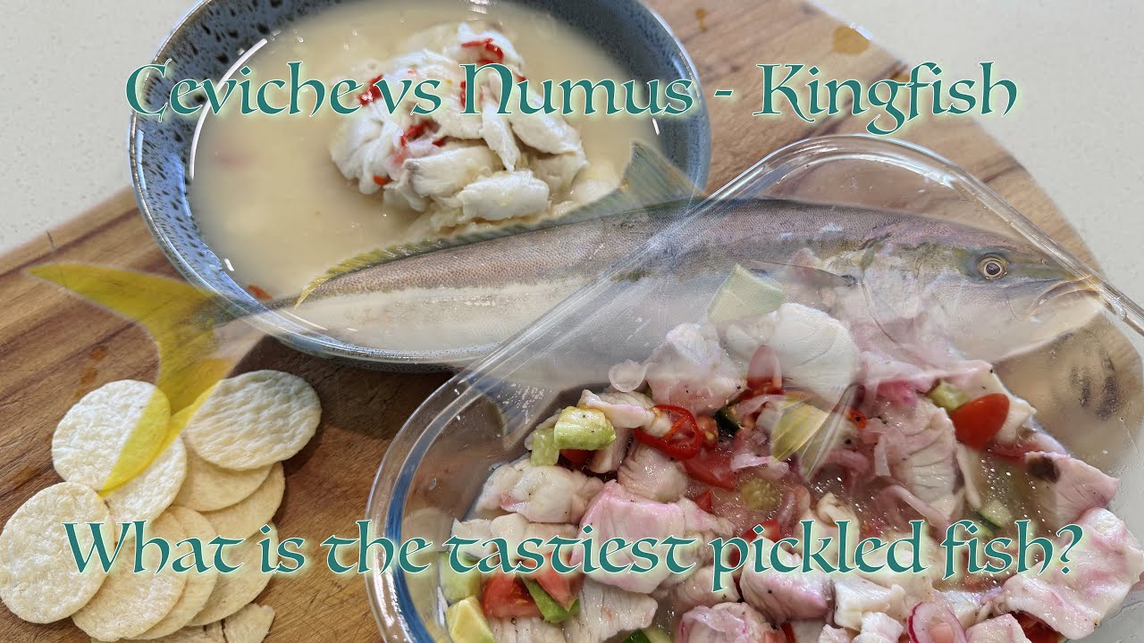 Ceviche vs Numus - Kingfish - YouTube