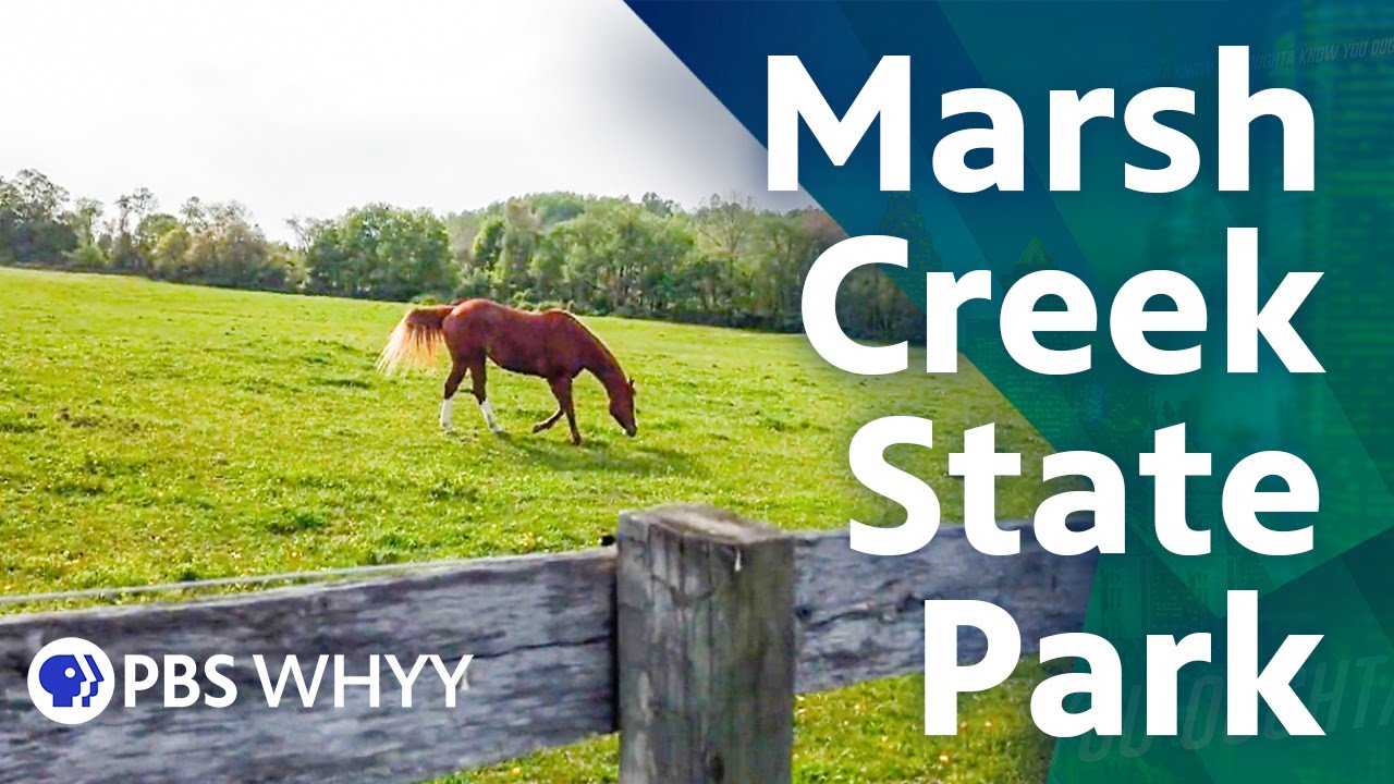 The Great Outdoors at Marsh Creek State Park - You Oughta Know (2021 ...