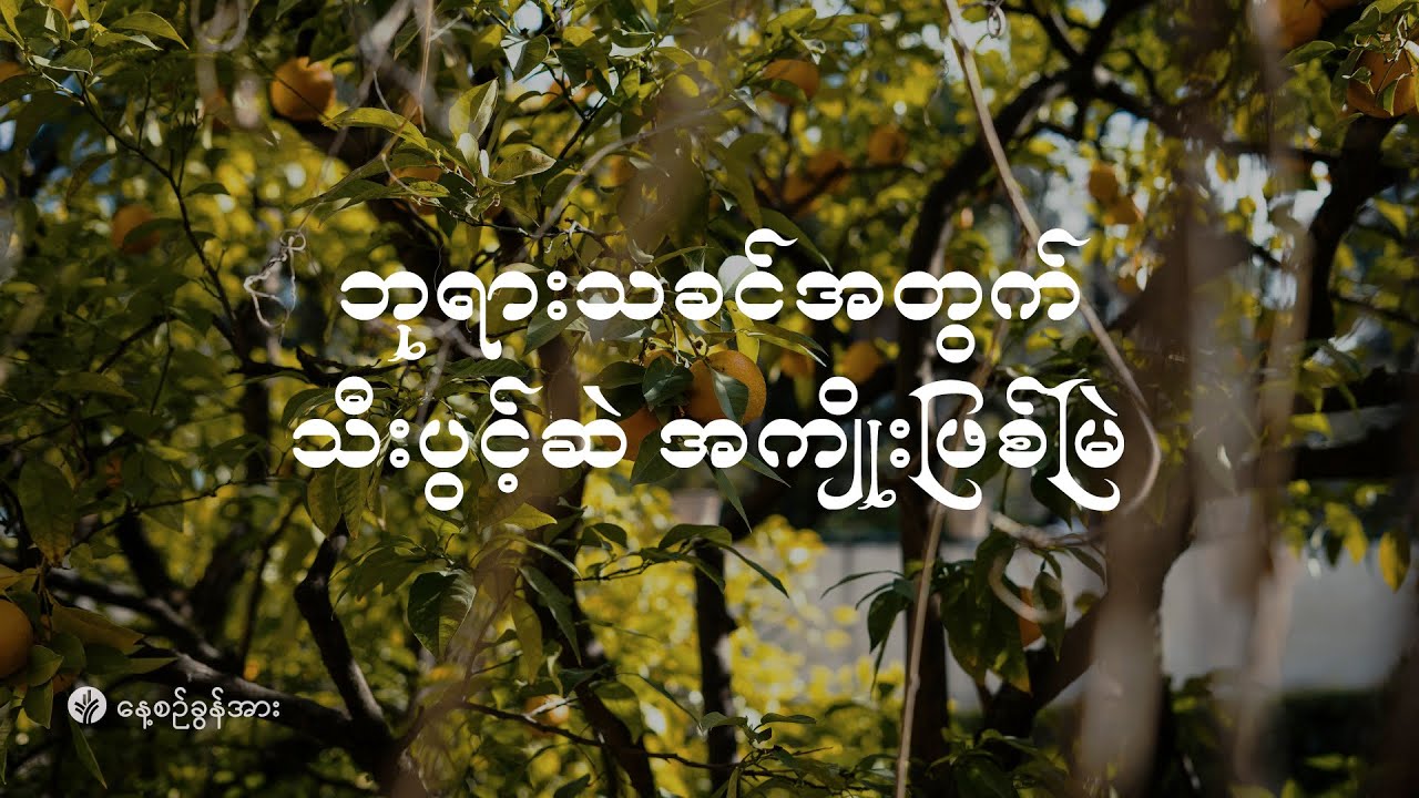 နေ့စဉ်ခွန်အား ၂၀၂၅ ခုနှစ်၊ ဇန်နဝါရီလ ၁၉ ရက် Youtube