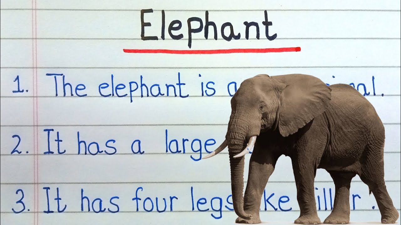 10 lines essay on elephant in english | Essay on elephant in english ...