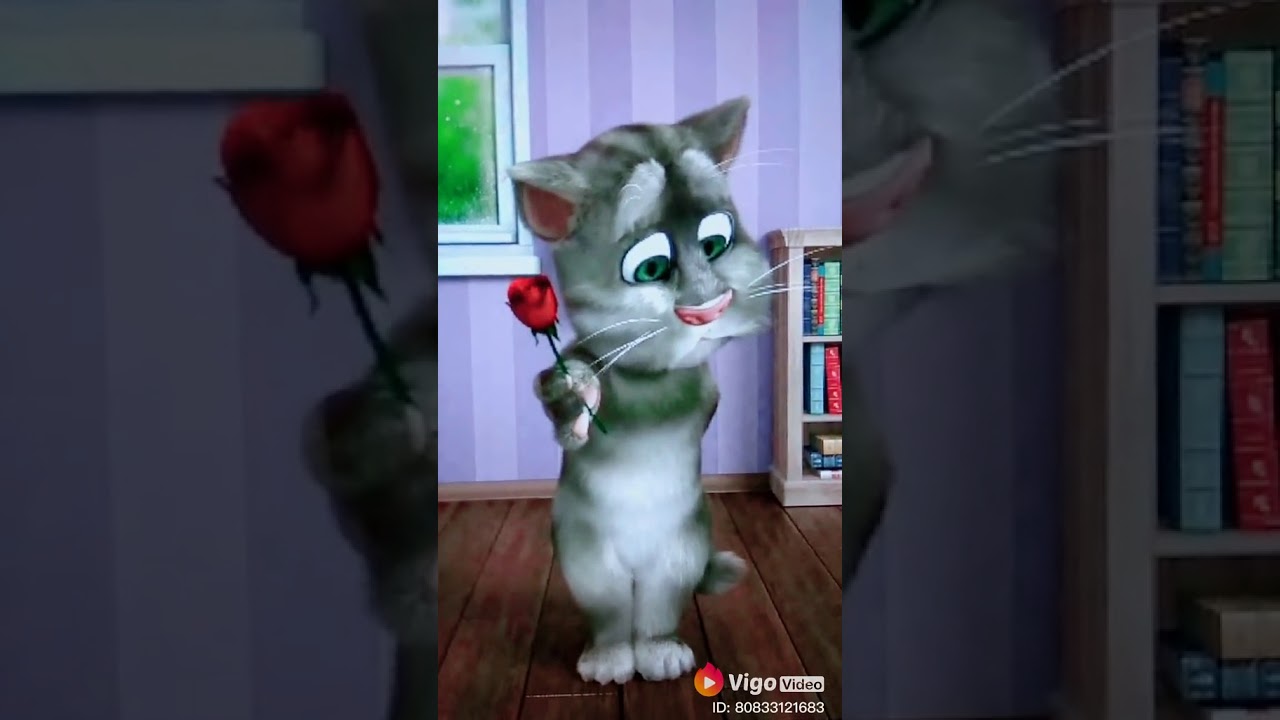 Pubg cat sad song - YouTube