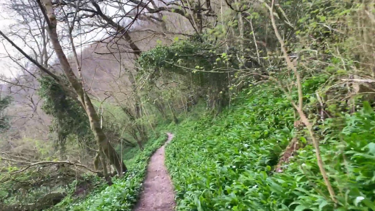Bishopston Valley to Pwll Du Beach - YouTube
