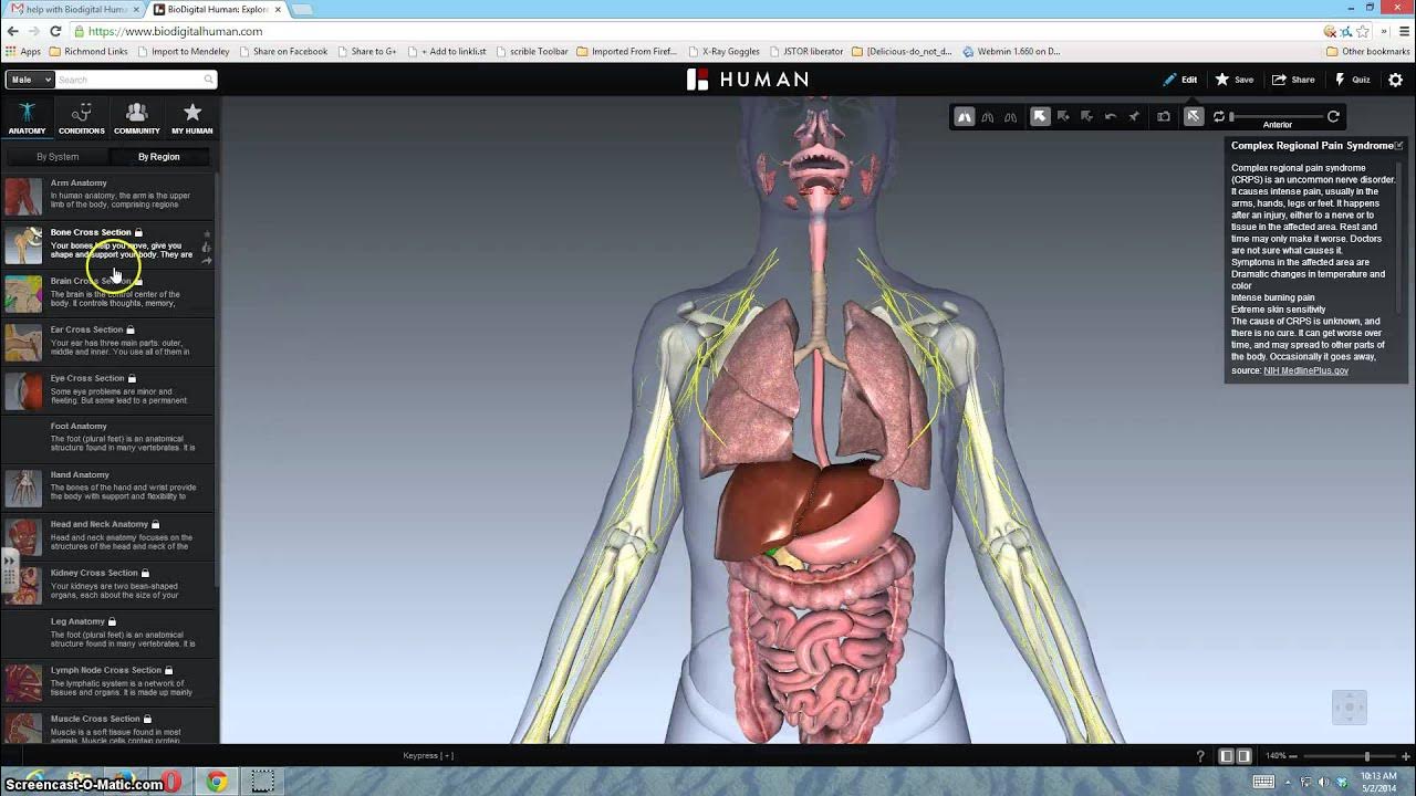Exploring BioDigital Human - YouTube