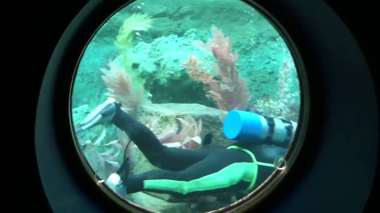 Disneyland’s Finding Nemo Ride - YouTube