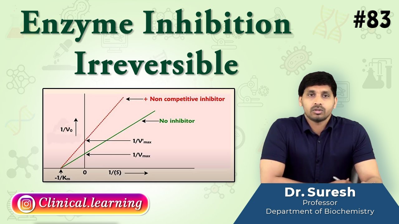 83. Enzyme Inhibition Irreversible - YouTube