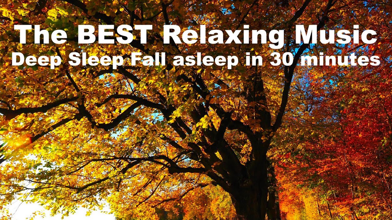 [4K] 30 mins Relaxing Music, Study Music, Sleep Music, Meditation Music ...