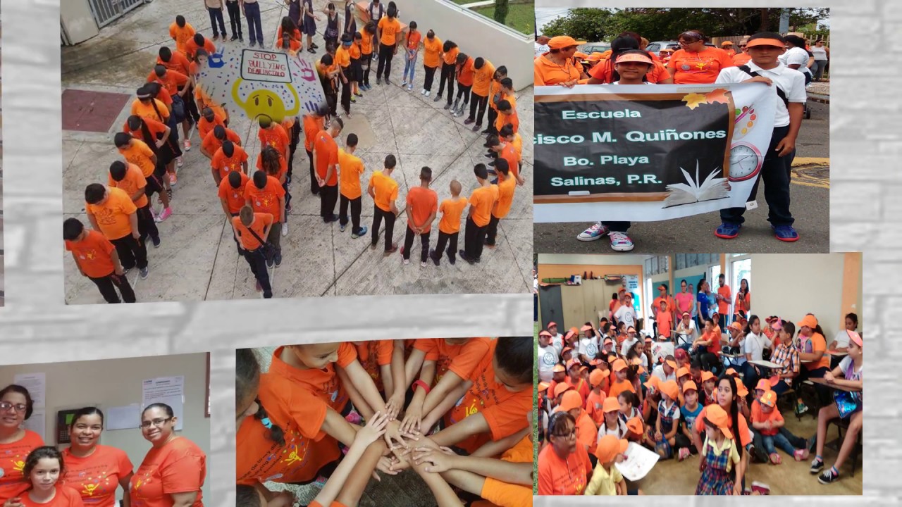 Día de la Unidad 2016 - APNI Inc. Puerto Rico - YouTube