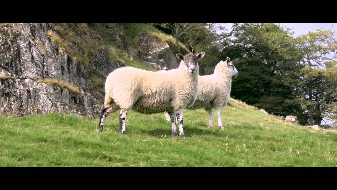 Chris Moon Motivational Speaker – Never Give Up - YouTube