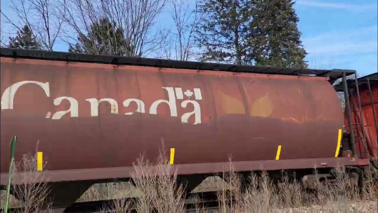 CN 2832, 3310 pull an Eastbound train of CN, IC, ICG, CARGILL covered hoppers with Canadian ...