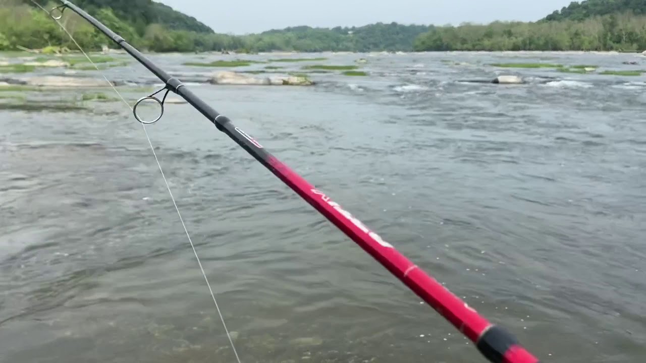 Smallmouth fishing hapers ferry! 3 pound 11 oz smallie caught! - YouTube
