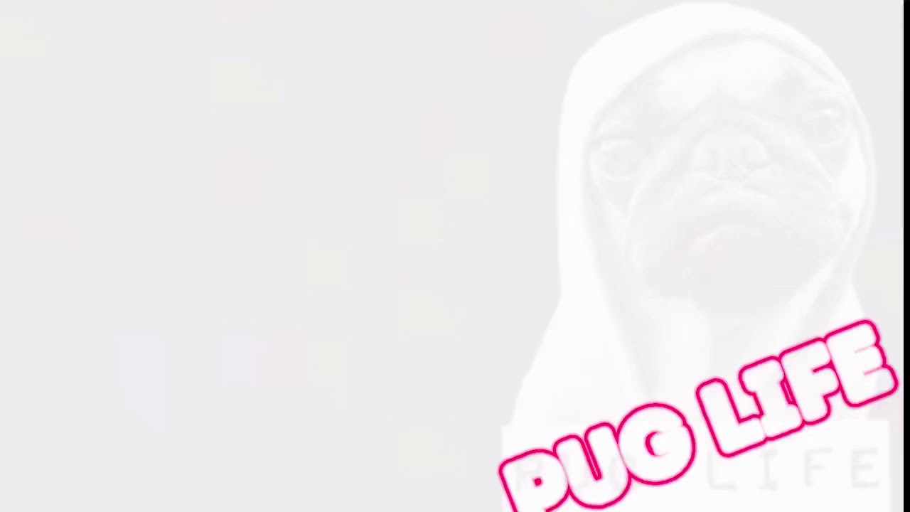 PUG LIFE (Gangster) #pug #puglife #dog - YouTube