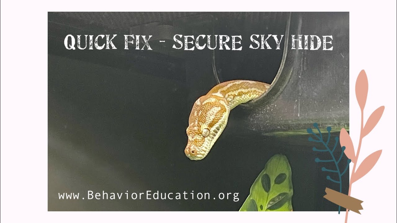 Quick Fix: Secure that Sky Hide! - YouTube